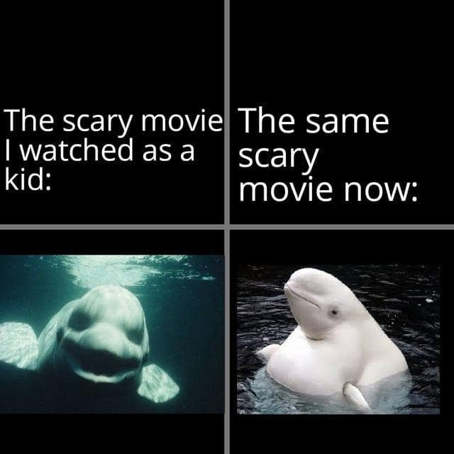 The 25 Funniest Whale Memes, Ranked