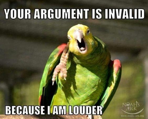 The 25 Funniest Parrot Memes, Ranked