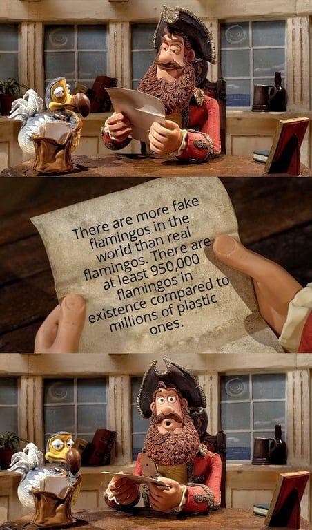 The 18 Funniest Flamingo Memes, Ranked