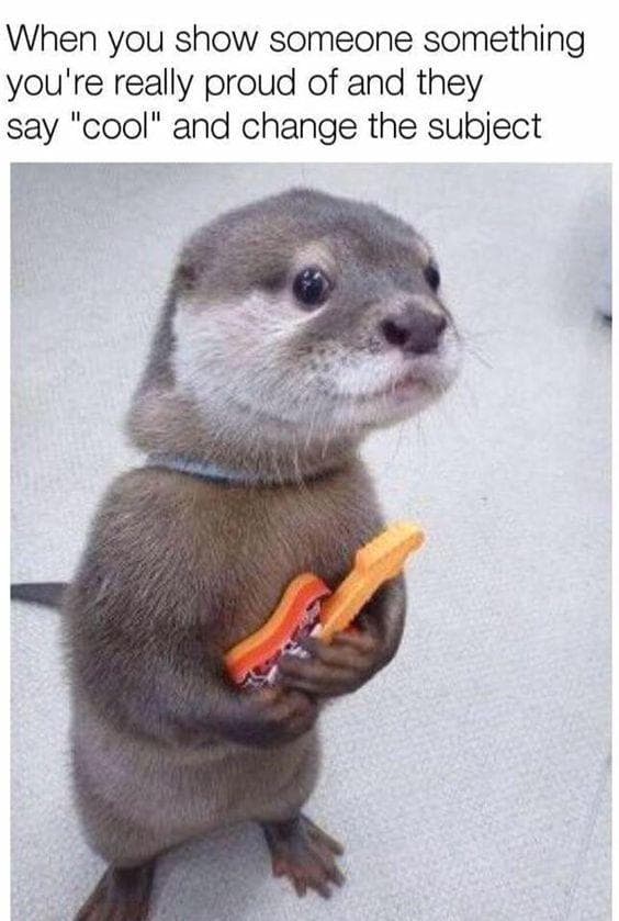 The 23 Funniest Otter Memes, Ranked