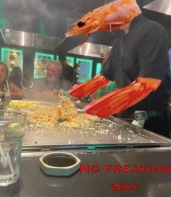 The 23 Funniest Shrimp Memes, Ranked