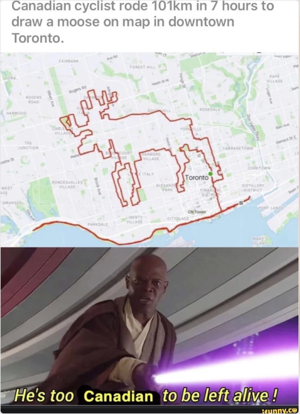 The 27 Funniest Moose Memes, Ranked