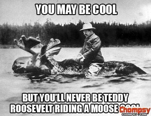 The 27 Funniest Moose Memes, Ranked