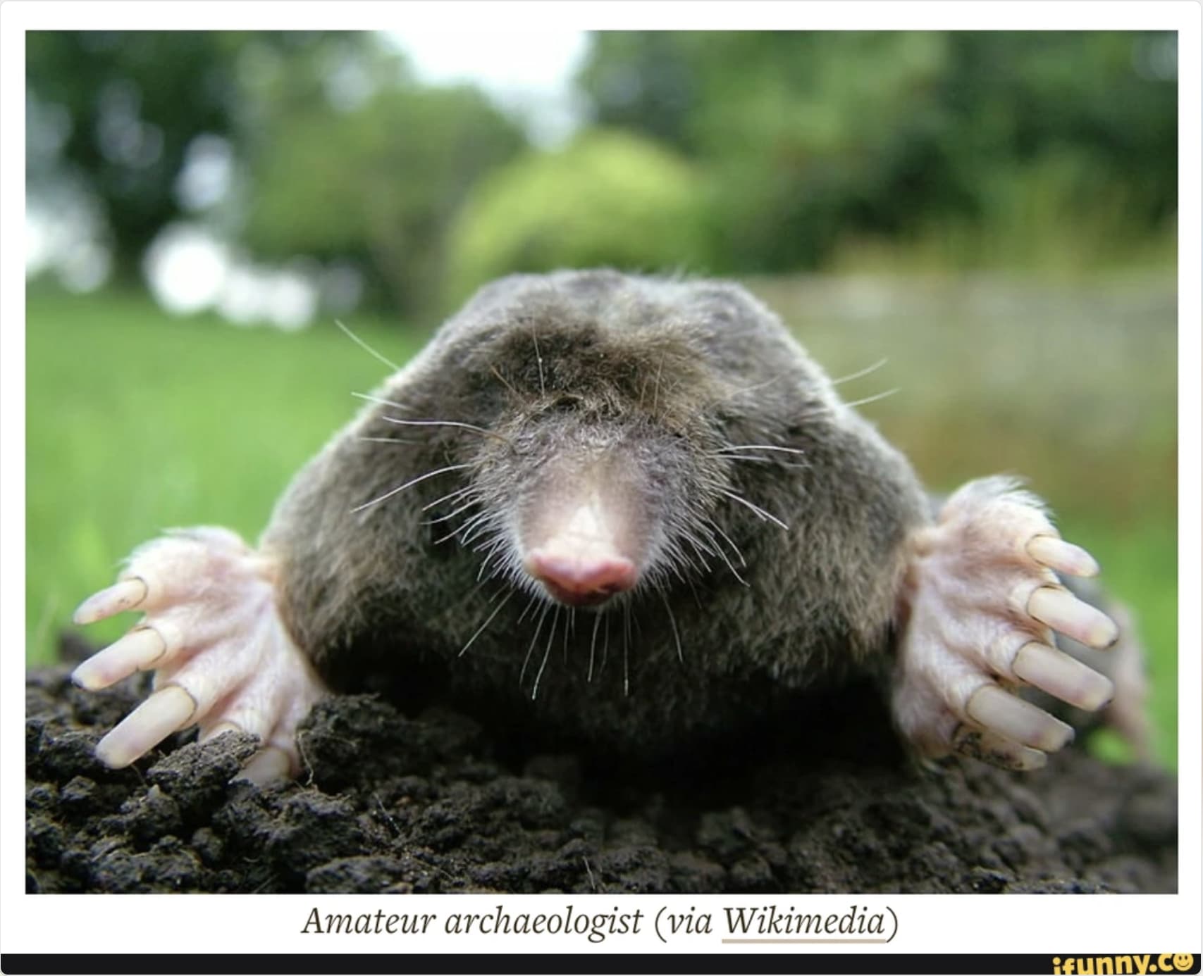 The 25 Funniest Archaeology Memes We Could Dig Up