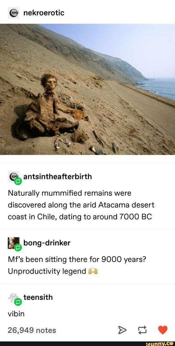 The 25 Funniest Archaeology Memes We Could Dig Up