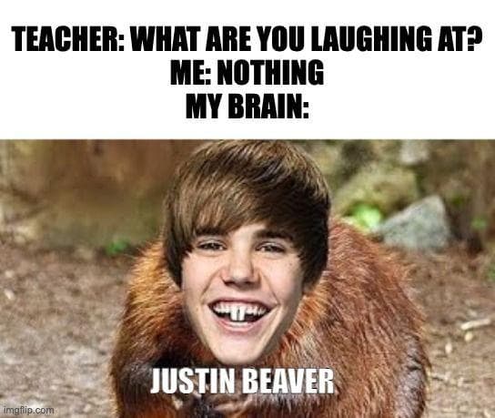 The 21 Funniest Beaver Memes For Those Who DO Give A Dam