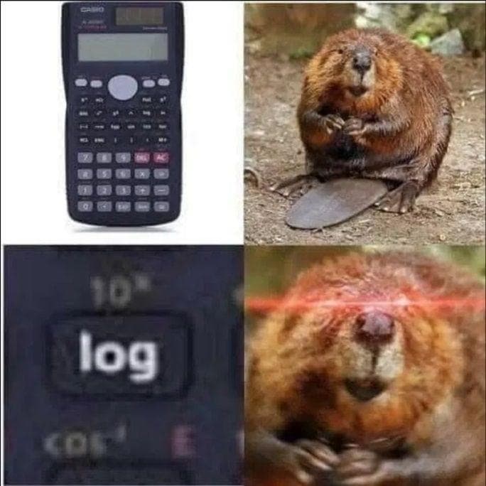 The 21 Funniest Beaver Memes For Those Who DO Give A Dam