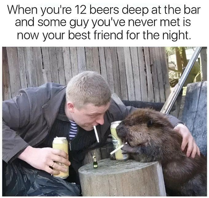 The 21 Funniest Beaver Memes For Those Who DO Give A Dam