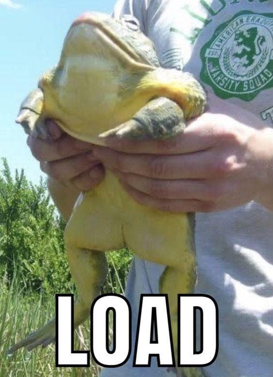 The 26 Funniest Toad Memes, Ranked