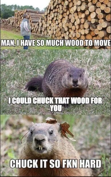 The 21 Funniest Beaver Memes For Those Who DO Give A Dam