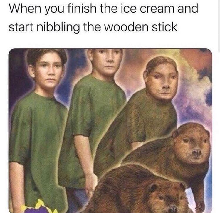 The 21 Funniest Beaver Memes For Those Who DO Give A Dam