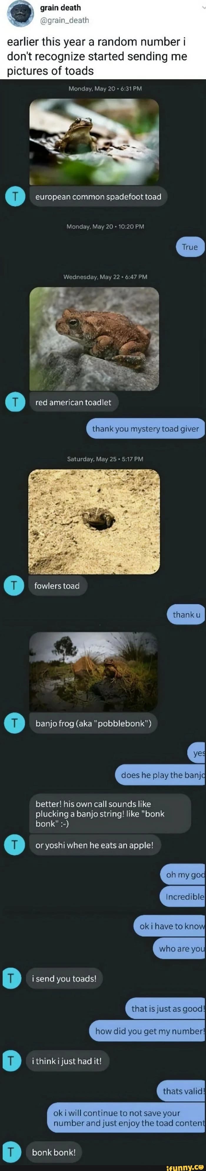 The 26 Funniest Toad Memes, Ranked