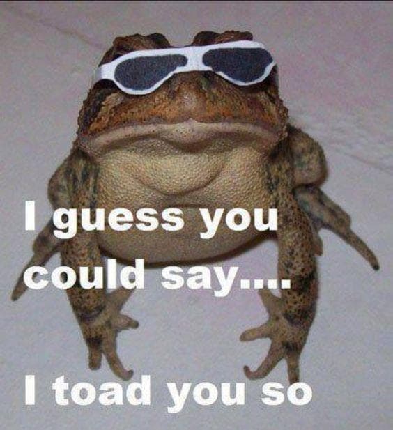 The 26 Funniest Toad Memes, Ranked