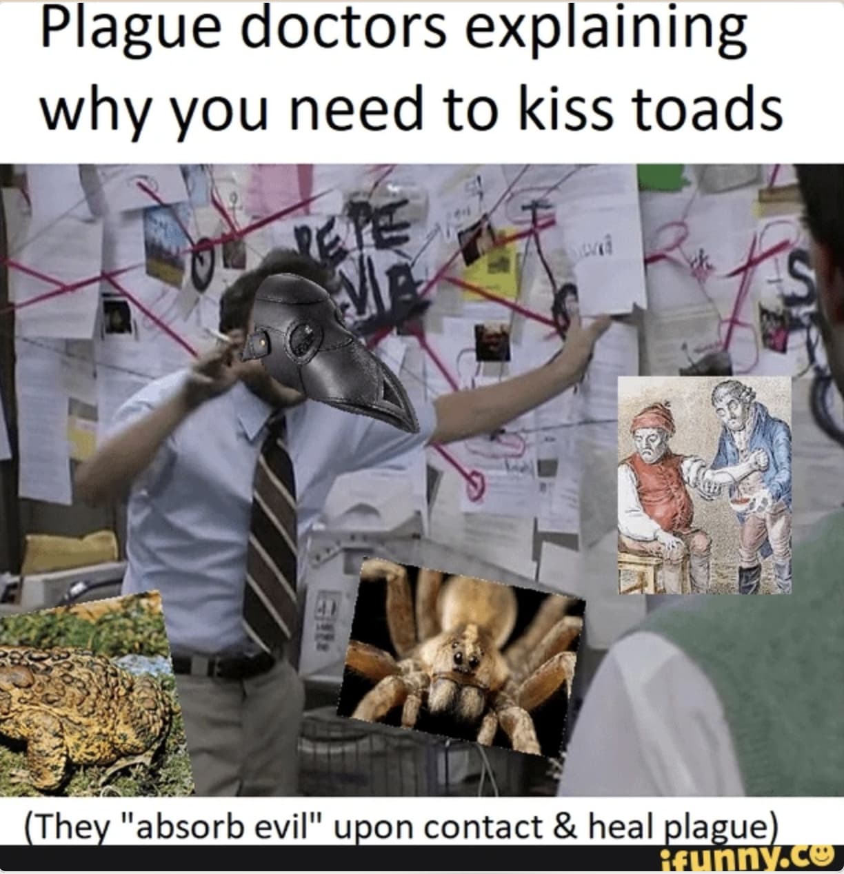 The 26 Funniest Toad Memes, Ranked