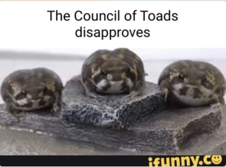 The 26 Funniest Toad Memes, Ranked