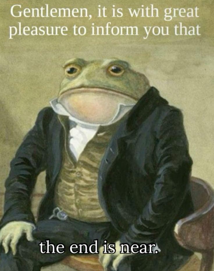 The 26 Funniest Toad Memes, Ranked