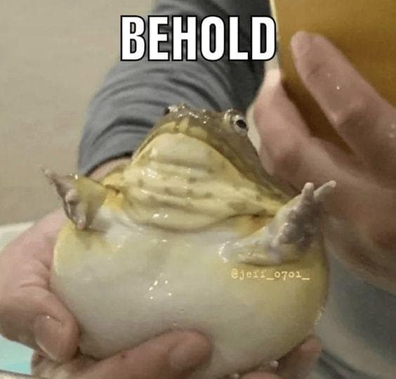 The 26 Funniest Toad Memes, Ranked