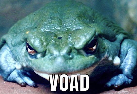 The 26 Funniest Toad Memes, Ranked