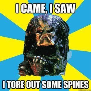 The 24 Funniest 'Predator' Memes, Ranked