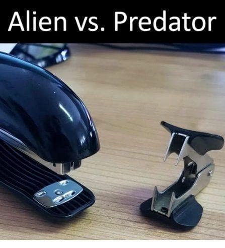 The 24 Funniest 'Predator' Memes, Ranked