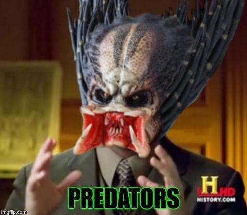 The 24 Funniest 'Predator' Memes, Ranked