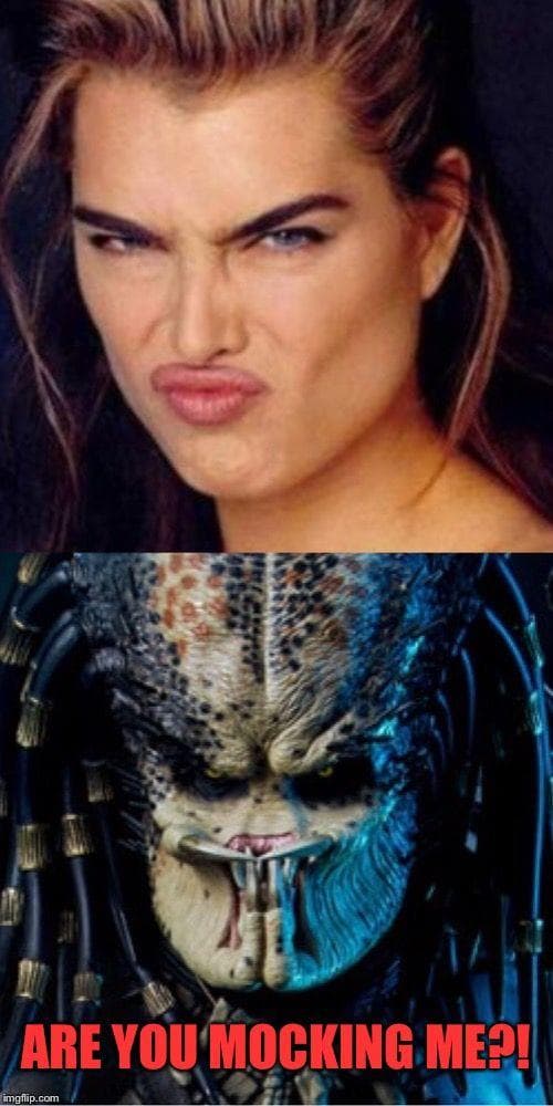 The 24 Funniest 'Predator' Memes, Ranked