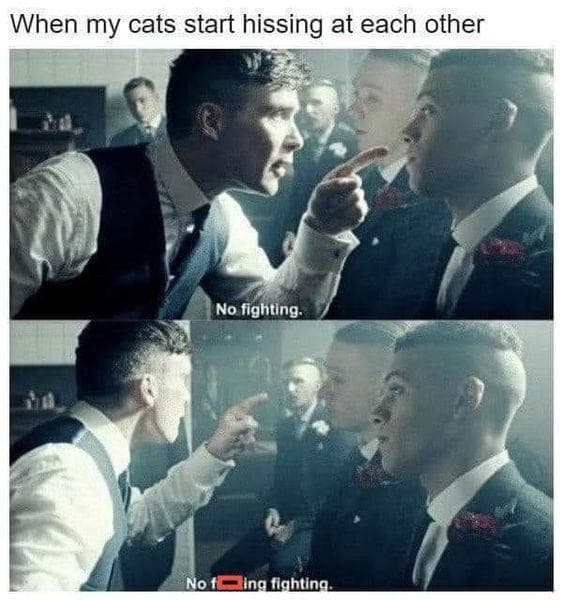 The 27 Funniest 'Peaky Blinders' Memes, Ranked