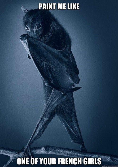 The 25 Funniest Bat Memes, Ranked