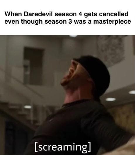 The 24 Funniest Daredevil Memes, Ranked