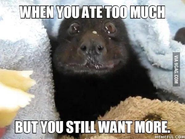 The 25 Funniest Bat Memes, Ranked