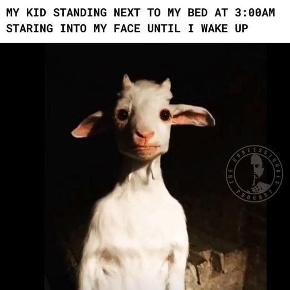 The 25 Funniest Paranormal Memes, Ranked