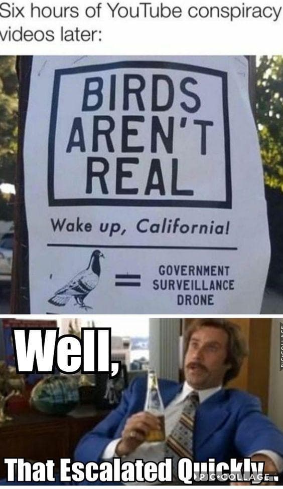 The 22 Funniest Conspiracy Theory Memes, Ranked