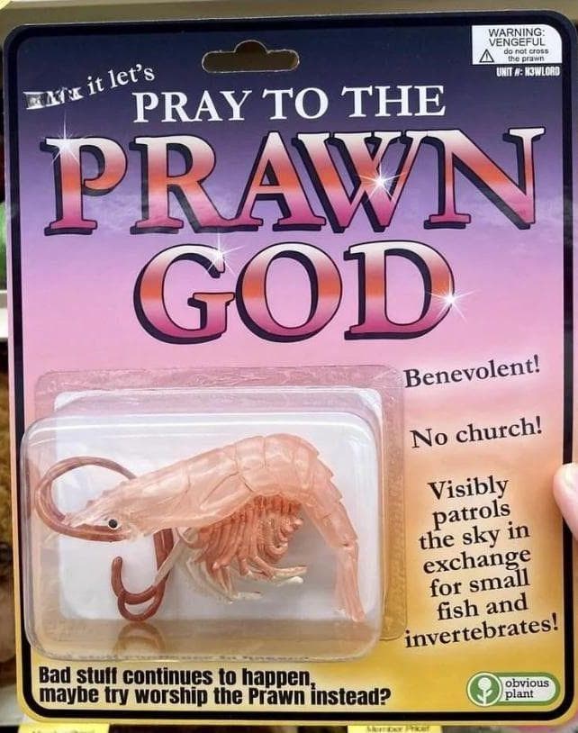 The 23 Funniest Shrimp Memes, Ranked