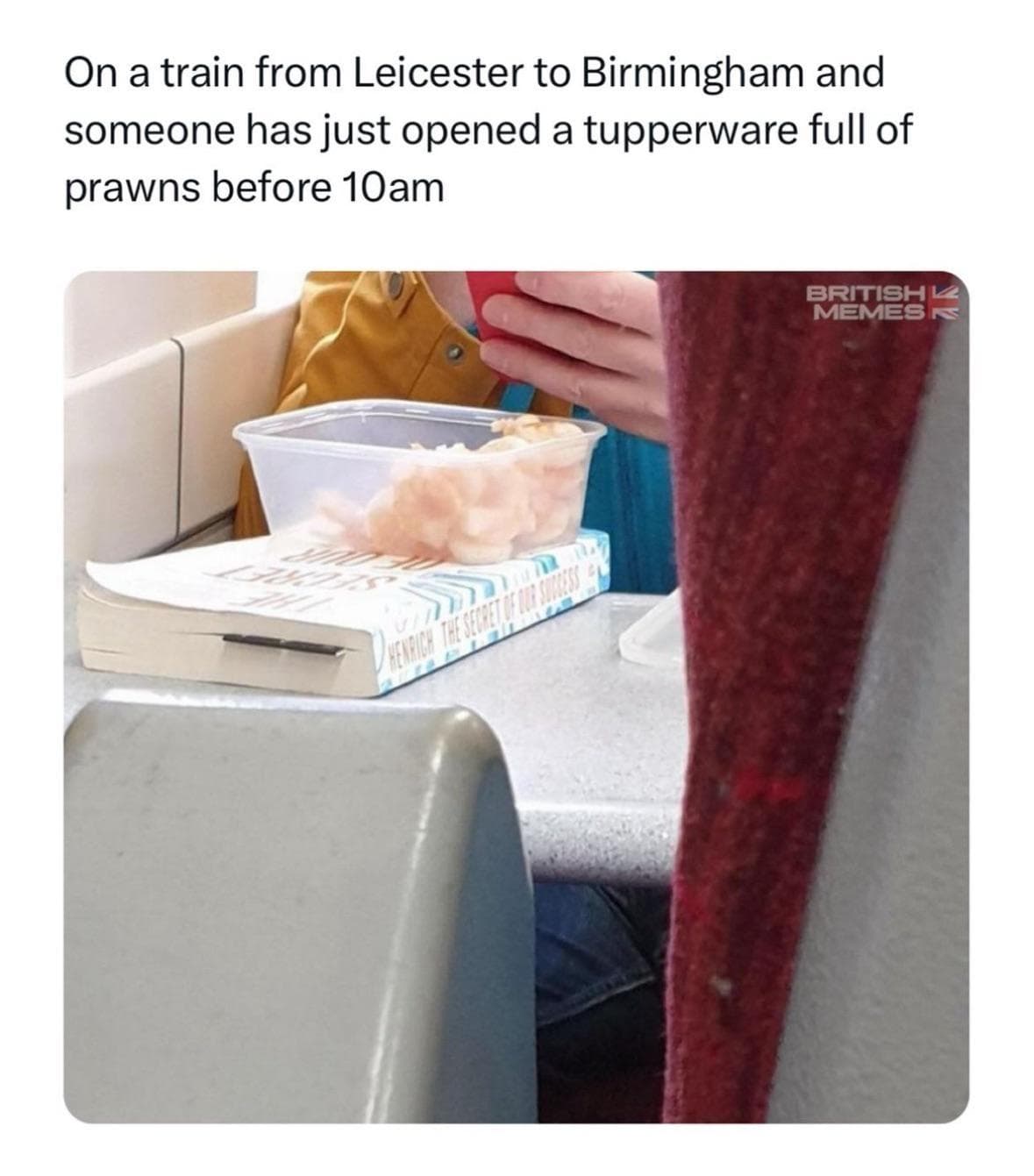 The 23 Funniest Shrimp Memes, Ranked