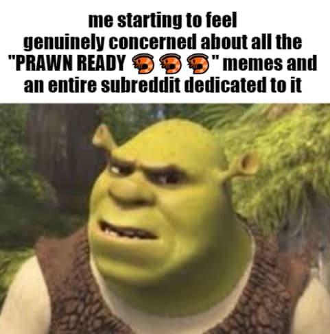 The 23 Funniest Shrimp Memes, Ranked