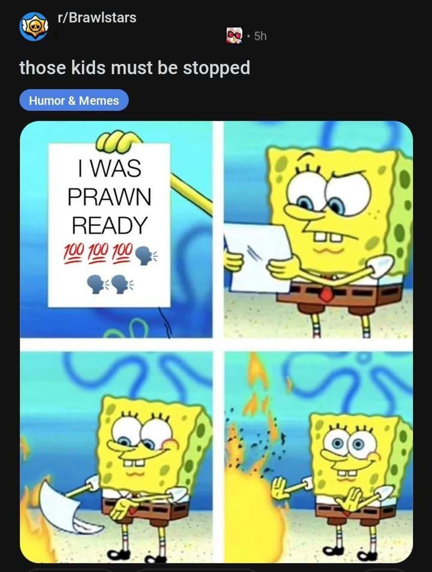 The 23 Funniest Shrimp Memes, Ranked