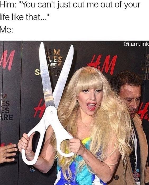 The 25 Funniest Lady Gaga Memes, Ranked