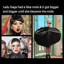 The 25 Funniest Lady Gaga Memes, Ranked