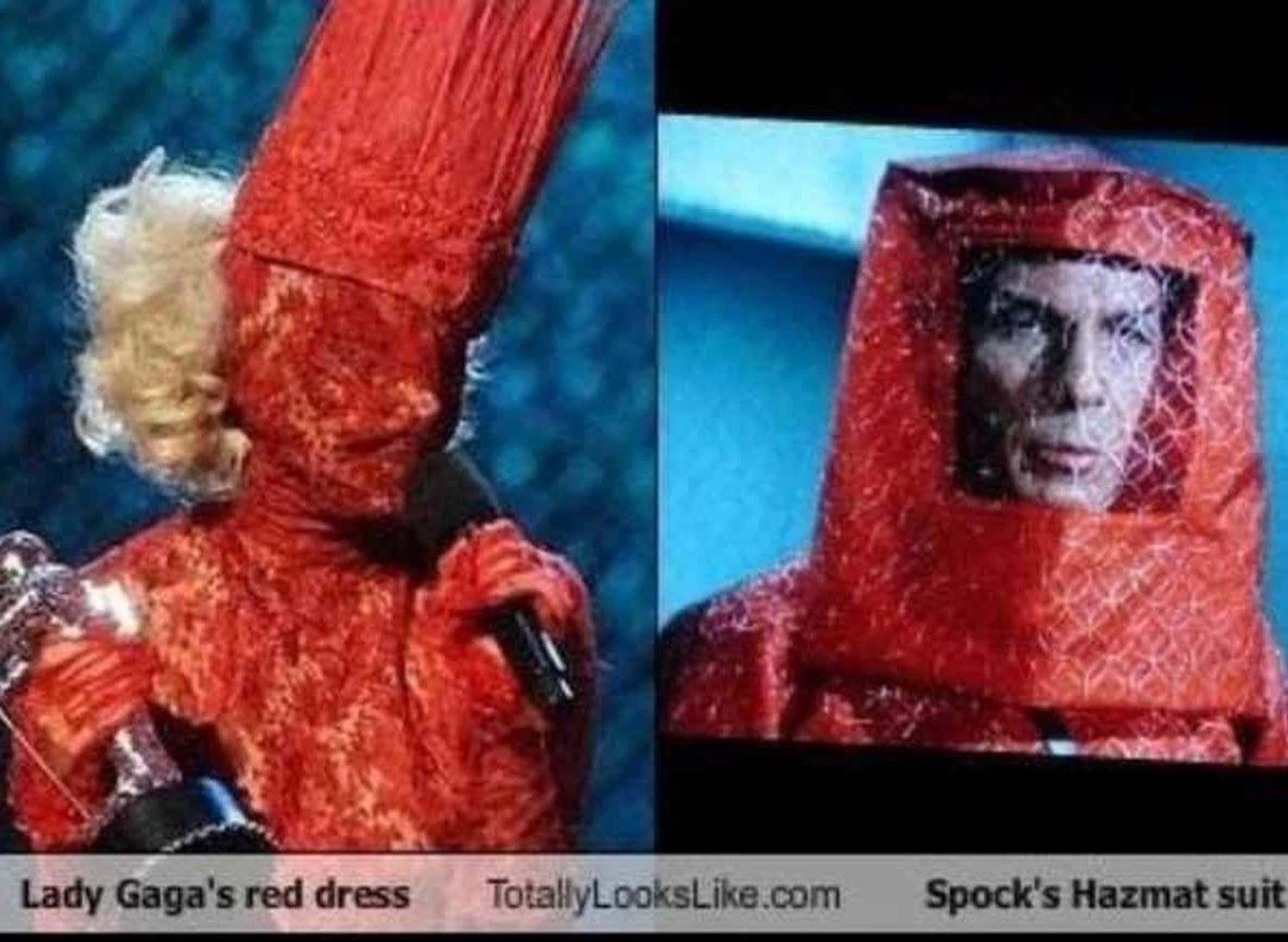 The 25 Funniest Lady Gaga Memes, Ranked