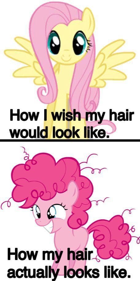 The 27 Funniest 'My Little Pony' Memes, Ranked