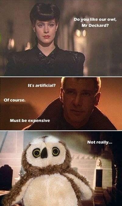 The 24 Funniest 'Blade Runner' Memes, Ranked