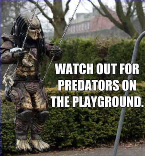 The 24 Funniest 'Predator' Memes, Ranked