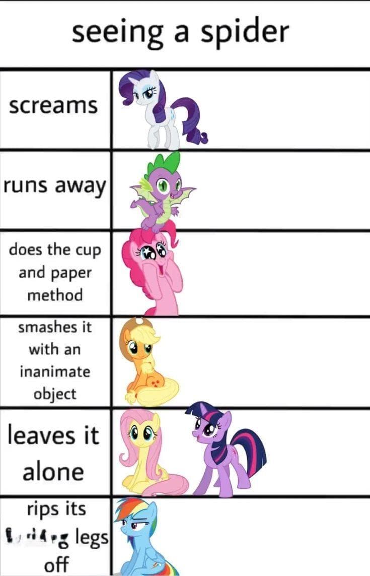 The 27 Funniest 'My Little Pony' Memes, Ranked