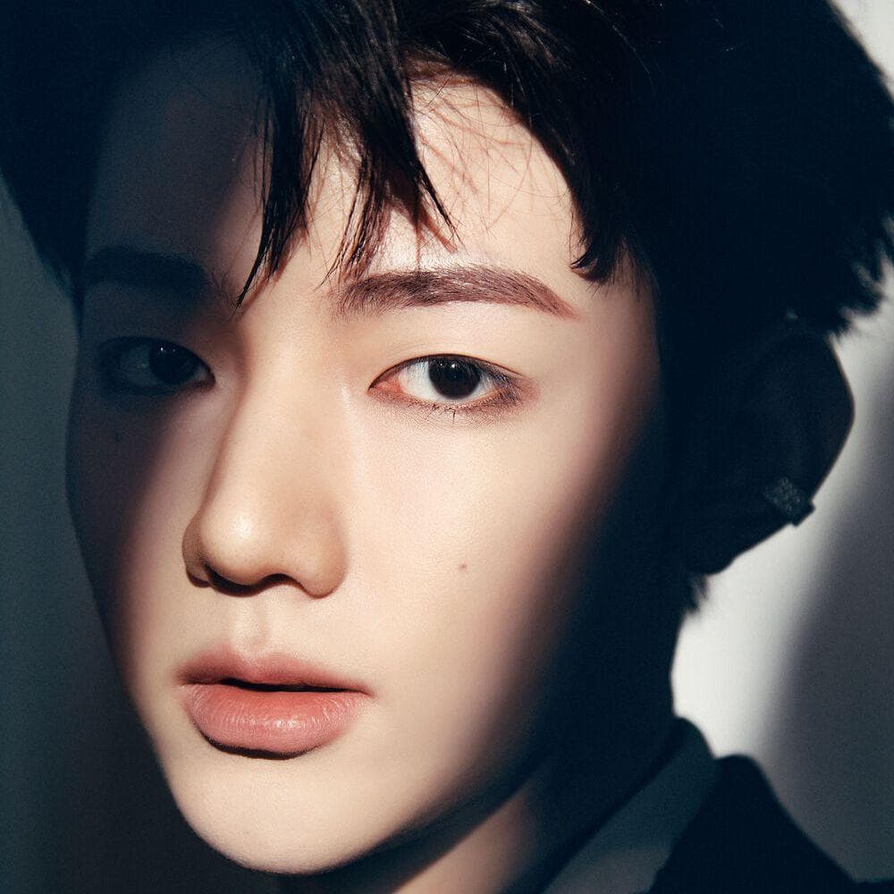 Every Member Of ZEROBASEONE, Ranked By Popularity