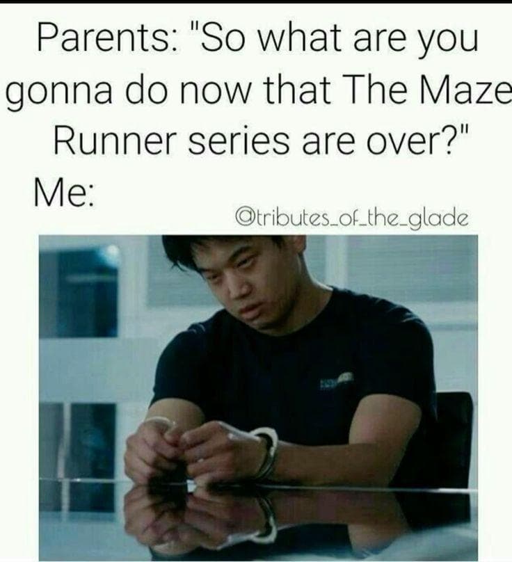 The 25 Funniest Maze Runner Memes, Ranked