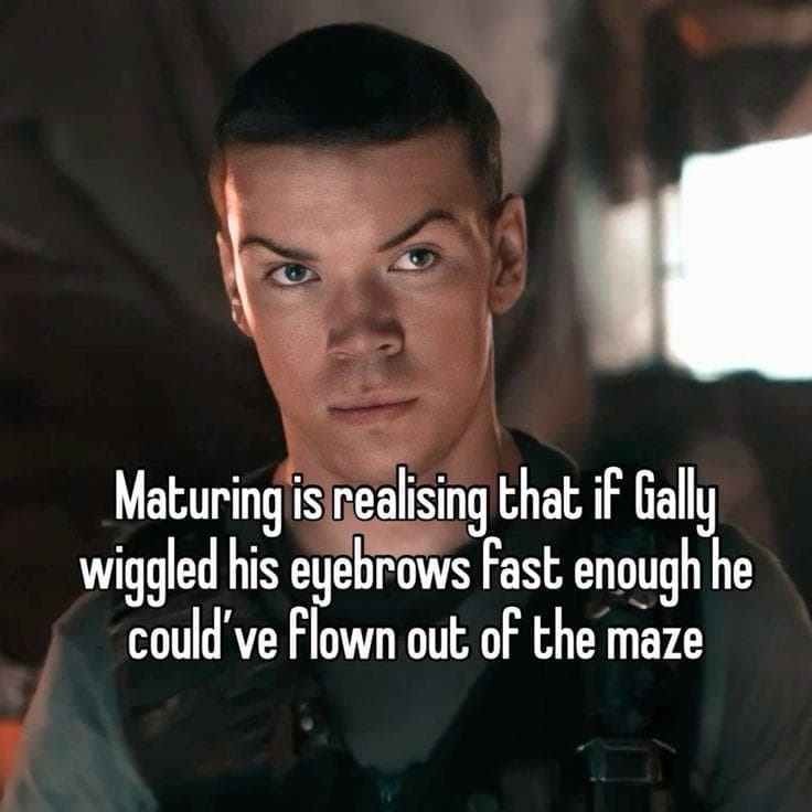The 25 Funniest Maze Runner Memes, Ranked