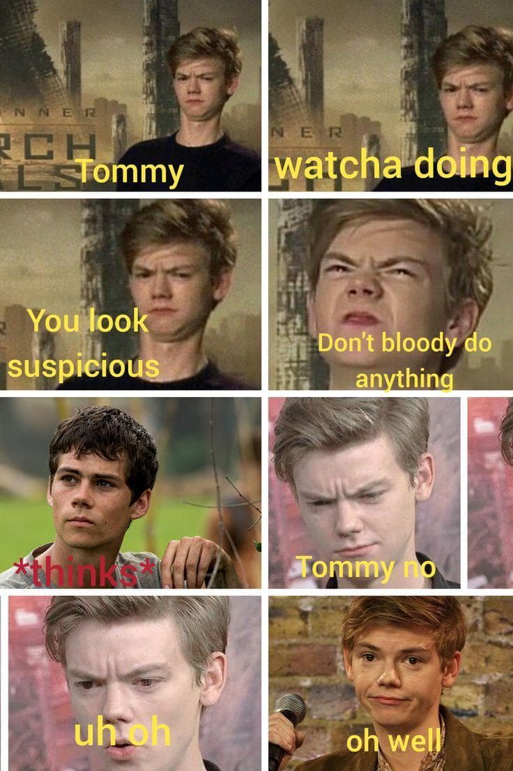 The 25 Funniest Maze Runner Memes, Ranked