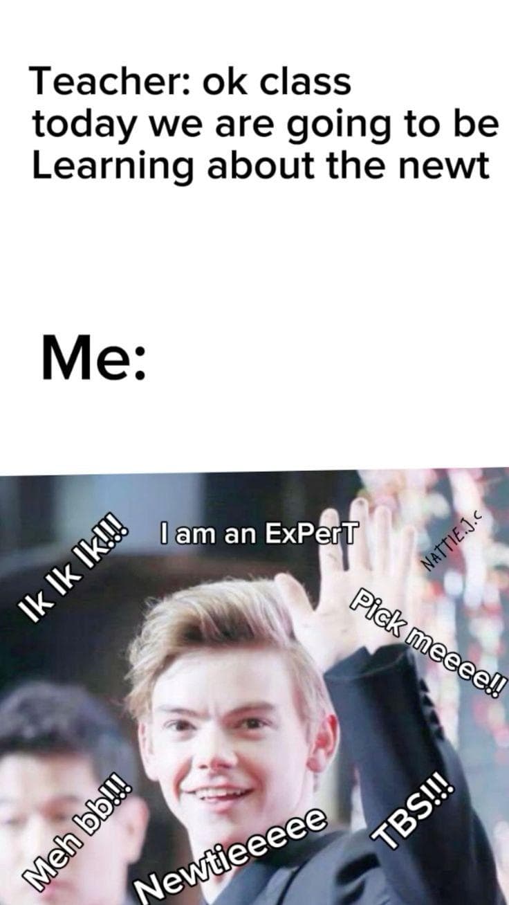 The 25 Funniest Maze Runner Memes, Ranked