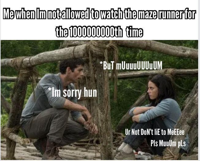 The 25 Funniest Maze Runner Memes, Ranked