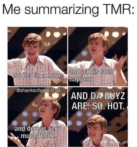 The 25 Funniest Maze Runner Memes, Ranked